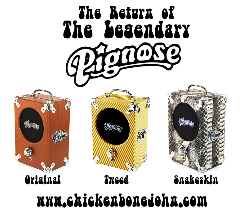 Return of The Legendary Pignose! – ChickenboneJohn Guitars